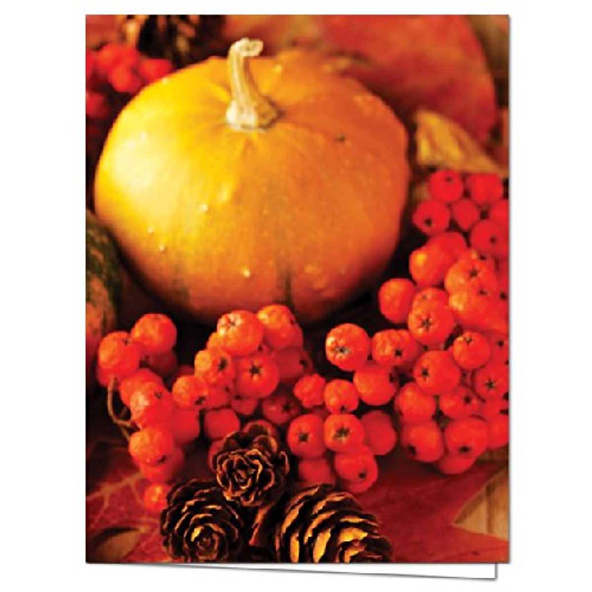 Note Card Cafe Thanksgiving Cards With Kraft Envelopes | 72 Pack | A Bountiful Thanksgiving Design Assortment | Blank Inside, Glossy Finish | For Holiday, Autumn, Fall