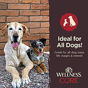 Wellness CORE Power Packed Dog Treats (Previously Pure Rewards), Grain-Free Tender Jerky Treats, Made in USA (Beef Recipe, 4-Ounce Bag)