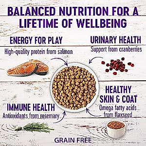 Wellness Complete Health Grain-Free Indoor Healthy Weight Chicken Recipe Dry Cat Food, 5.5 Pound Bag