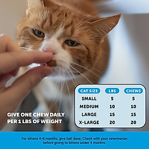 Pet Honesty Cat Skin & Coat Health Chews - Omegas, Vitamin C + E, Biotin Supplement, Soothes Skin and Promotes Shiny Coat, Cat Supplements & Vitamins - Chicken (30-Day Supply)