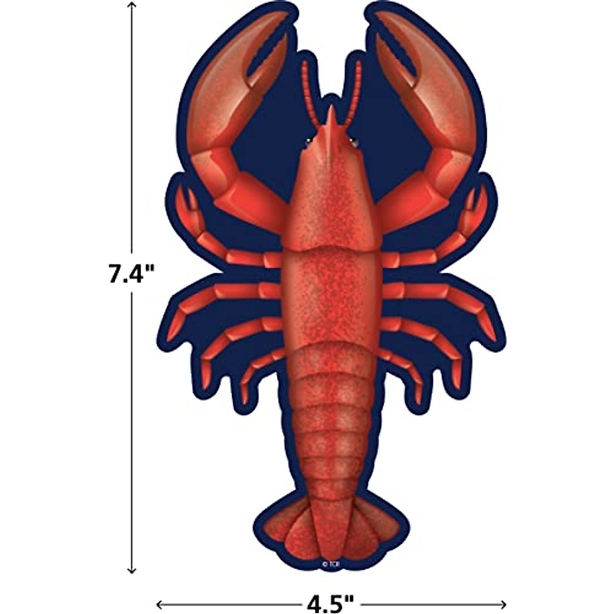 Teacher Created Resources (8895) Nautical Sea Life Accents