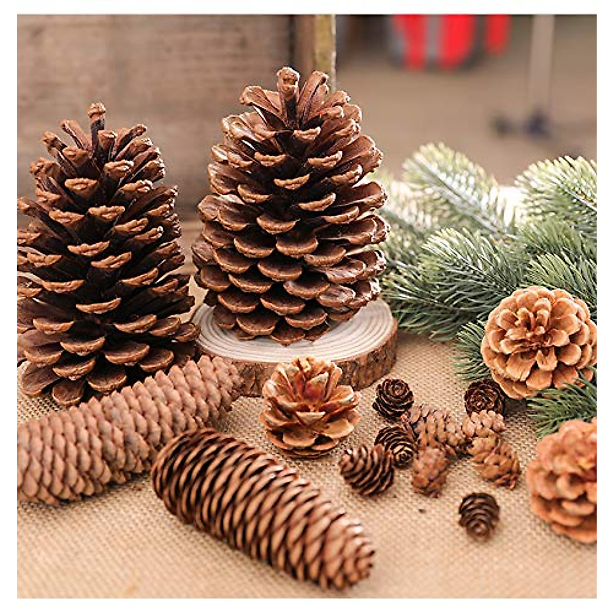 Pine Cones 3.5" to 4.7" Tall Christmas PineCones Giant Large Natural Pinecones for Home Accent Decor, 4 PCS, Bug Free (Large PineCones)