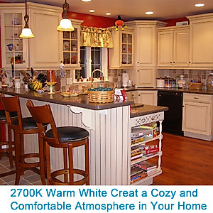 Lacnooe PAR20 Bulbs, 2 Pack 120V 50W PAR20 Flood Light Bulbs, Long Lifespan High Output Reflector Flood Lights, E26 Medium Base, Dmimable, Warm White