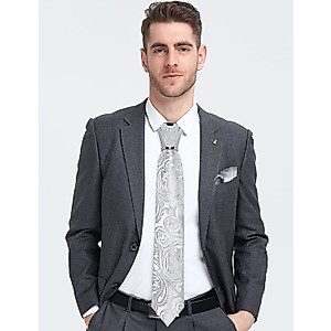 DiBanGu Silver Tie Paisley Ties for Men Tie and Pocket Square Set Tie Accessories for Men Jacquard Woven Silk Necktie