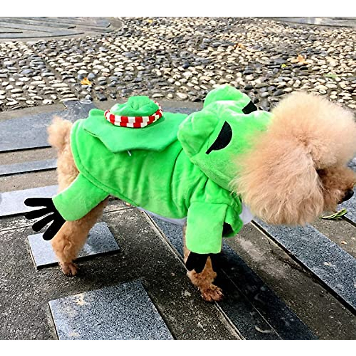 ChezAbby Funny Frog Dog Cat Costumes Pet Halloween Christmas Cosplay Clothes Adorable Flannel Kitten Outfits Clothes Soft Velet Puppy Apparel Fleece Doggie Sweater Warm Cat Coat