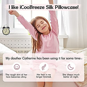 iCooBreeze 100% Pure Silk Toddler Pillowcases,Mulberry Silk Double Sided Pillow Case with Hidden Zipper,Organic Pillow Covers for Baby Kid Toddler Boys Girls, Toddler (13"X18") 1 Pack, Silver Grey