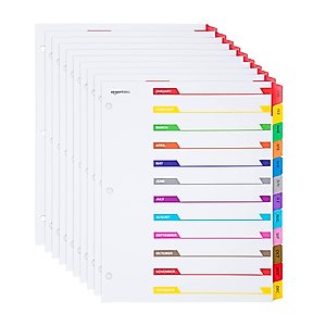 Amazon Basics 12 Tab Monthly Dividers for 3 Ring Binder, Customizable Table of Contents Page, Multicolor, 10-Pack