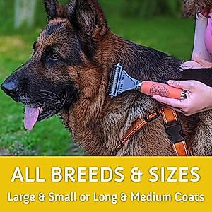 GoPets Dematting Comb with 2 Sided Professional Grooming Rake for Cats & Dogs