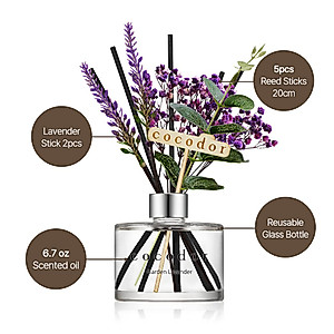 COCODOR Lavender Reed Diffuser/Garden Lavender / 6.7oz(200ml) / 1 Pack/Home Decor & Office Decor, Fragrance and Gifts