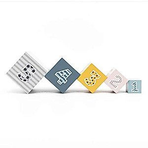 moderngenic Geometric Wooden Boxes | Blocks Stacker, Stacking & Nesting Educational Tower with Shapes, Pictures of Animals and Numbers for Toddlers