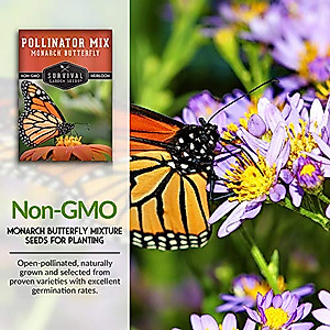 Pollinator Seed Mixture to Attract Monarch Butterflies, Bees & Pollinators - 1 Packet - Milkweed, Garden Flower, & Wildflower Mix for Planting - Support Conservation Efforts - Survival Garden Seeds
