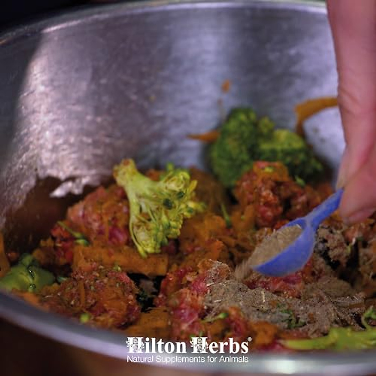 Hilton Herbs Canine Digest Support Supplement for Dogs, 4.4 oz Tub