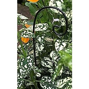 Fairy Garden Accessories Supplies for Miniature Dollhouse Fairy Garden 5" Black Metal Shepherd's Hook for Outdoor Home Garden Decoration, Dollhouse Accessories.