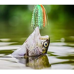 6Pcs-Weedless-Swimming-Jigs-Fishing-Lure,Saltwater Chatter Fish Baits for Bass Fishing Lures Jig Heads with Weed Guard Freshwater Crappie Artificial Bait Hooks Mix Color Skirts Kits for Pike Trout