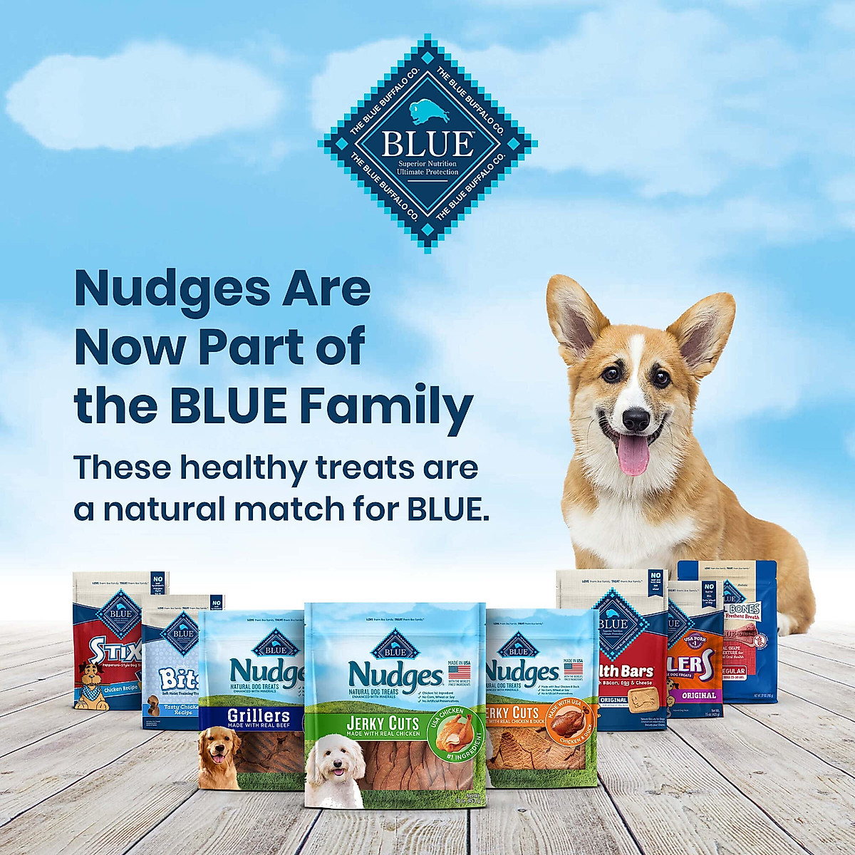 Blue Buffalo Nudges Grillers Natural Dog Treats, Steak, 16oz Bag