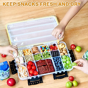 Portable Snackle Box Container - 17 Compartment Adjustable Divided Serving Tray, Snack Box Organizer for Fruits, Candy, Nuts, Snacks, Charcuterie - Ideal for Party, Travel, Beach, Picnics, Camping