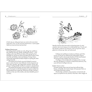 Carrots Love Tomatoes: Secrets of Companion Planting for Successful Gardening