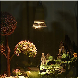 MD Lighting 4-Pack Reptile Heat Lamp Bulb, E26/E27 75 Watt Reptile Heat Bulb Full Spectrum Sun Light Lamp for Bearde Dragon, Lizard, Turtle, Gecko & More