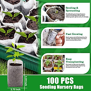 MQFORU 2 Pack Seed Starter Trays with Grow Light, 80 Cell Seed Starter Kit with Timer, Adjustable Domes, Plant Starter Trays Kit for Propagation, Cloning Plants, Seed Germination