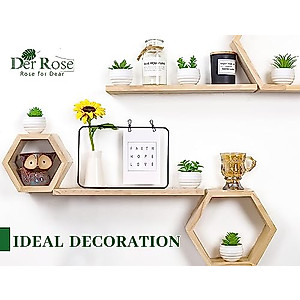 Der Rose Set of 6 Succulents Plants Artificial in Pots Small Fake Plants for Bedroom Aesthetic Living Room Office Shelf Bathroom Decor