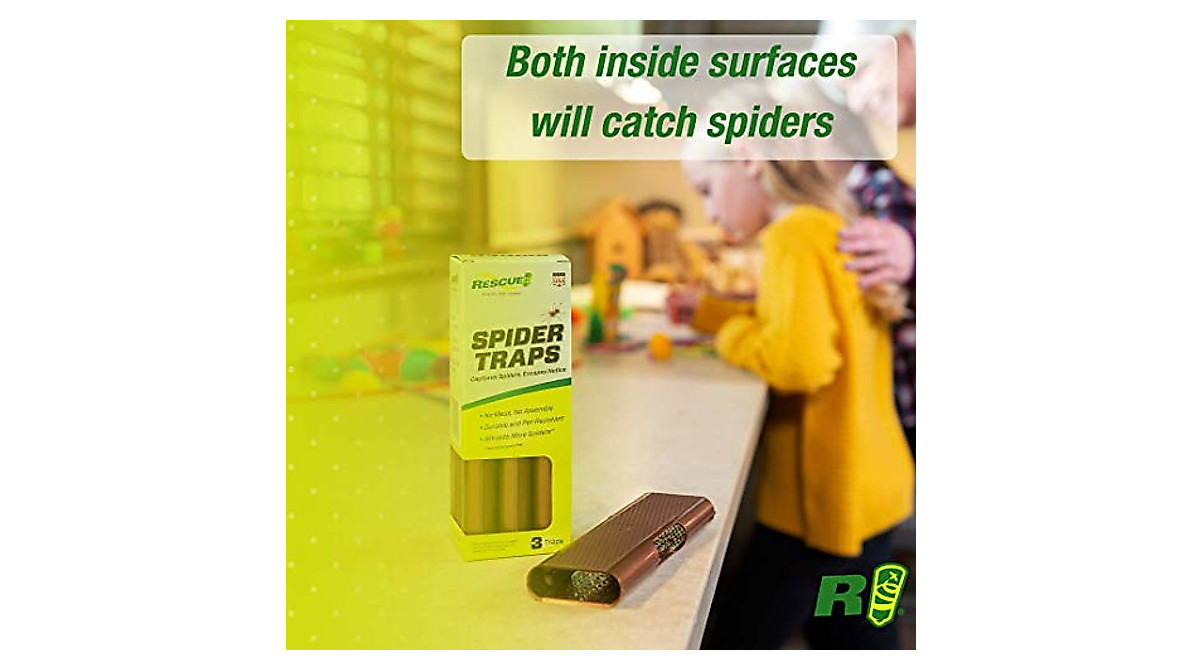 RESCUE! Spider Traps: Catch Black Widow, Recluse & Hobo Spiders