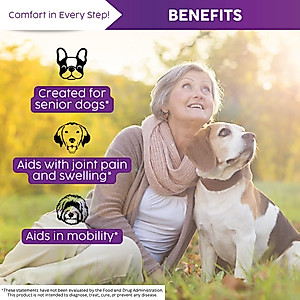 Hip and Joint Supplement Dogs with Glucosamine for Dogs + Chondroitin, Turmeric, Hyaluronic Acid, MSM, Salmon Oil, Collagen, Vitamin C, Omega 3 Senior Dog Supplements Beef Flavor by Clean Pets