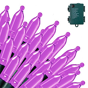 Joiedomi 100 (2x50) LED Halloween String Lights 67.2FT (2x33.6) Green Wire for Indoor Outdoor Holiday Décor Halloween Event Decoration, Tree, Eaves, Haunted House Theme Party (Purple)
