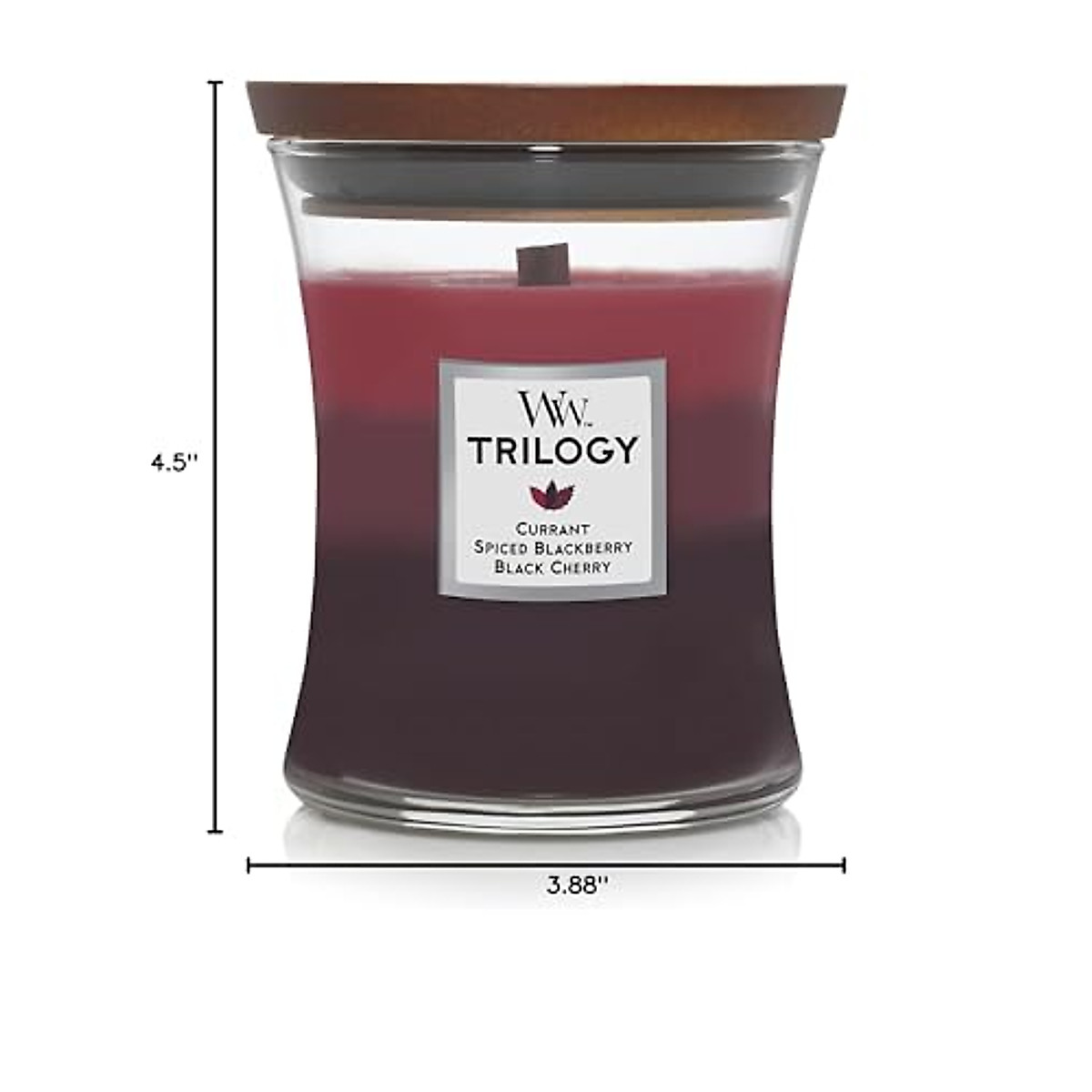 WoodWick Medium Hourglass Candle, Sun Ripened Burrs - Premium Soy Blend Wax, Pluswick Innovation Wood Wick, Made in USA