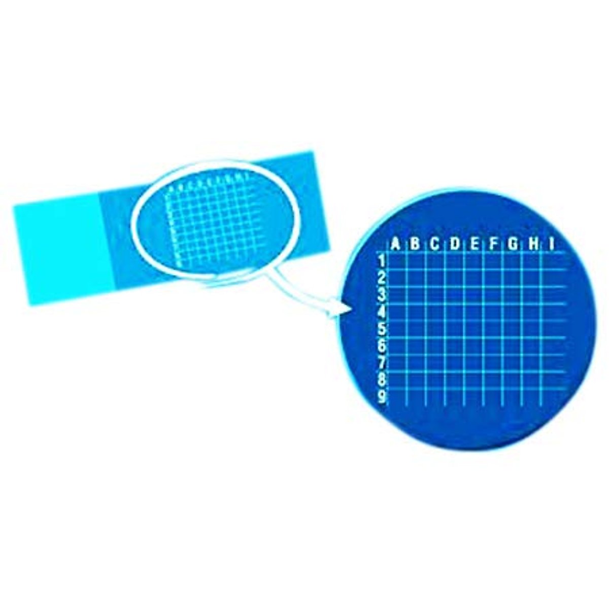 RPI Microscope Grid Slides, 1 x 3 inches, White Imprint, 81 Squares per Slide, 72 Slides per Package, Stain Resistant