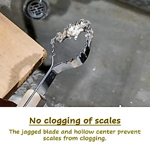 Kanda Fish Scaler Remover Tool Scraper 2Way Fast Cleaning Fish Skin, Stainless Steel with Wooden Handle, Easy and No Mess, Made in Japan