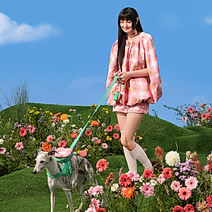 VETRESKA Flora Dog Harness, Leash and Collar Set, No Pull Dog Vest Harness for Walking and Training, Adjustable, Easy Control and Soft Padded Pet Harness and Backpack for Small Medium Large Dogs, S