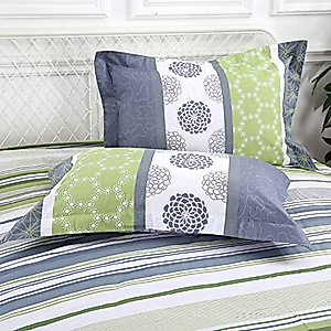 Swanson Beddings Serene 3-Piece 100% Cotton Bedding Set: Duvet Cover and Two Pillow Shams (Queen)