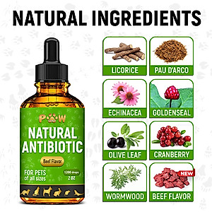 Antibiotic for Cats | Natural Antibiotics for Dogs | Cat Antibiotics | Dog Antibiotic | Antibiotic for Dogs | Natural Antibiotics for Cats | Natural Dietary Supplement Pet Antibiotic | Beef | 2 Oz