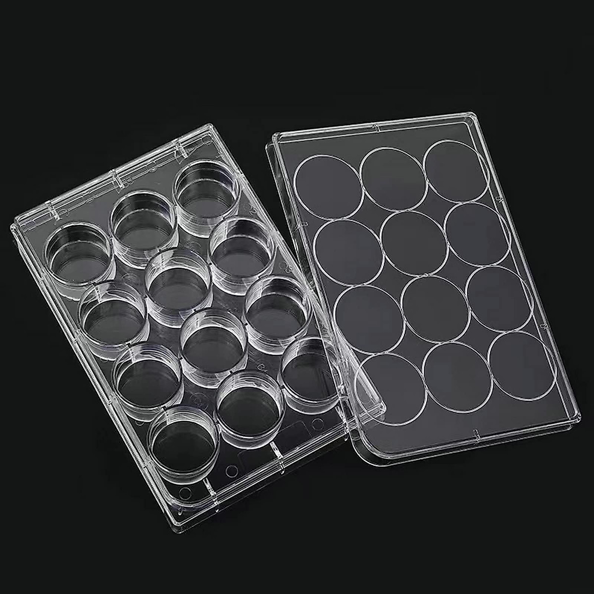 12-Well Tissue Culture Plate - Individually Wrapped， with Lid，Flat Bottom Wells（Pack of 10）