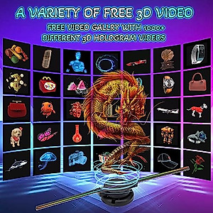 3D Hologram Fan Display-APP Controlled 16.9 Inch Holographic Projection LED Fan Display Advertising Projector with 256 LEDs 800+ Free 3D Video Library for Business Store Signs, Bar, Event, Exhibition