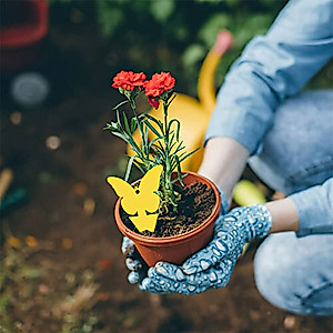 Fruit Fly Traps Fungus Gnat Traps Yellow Sticky Indoor Outdoor Use Protect The Plant