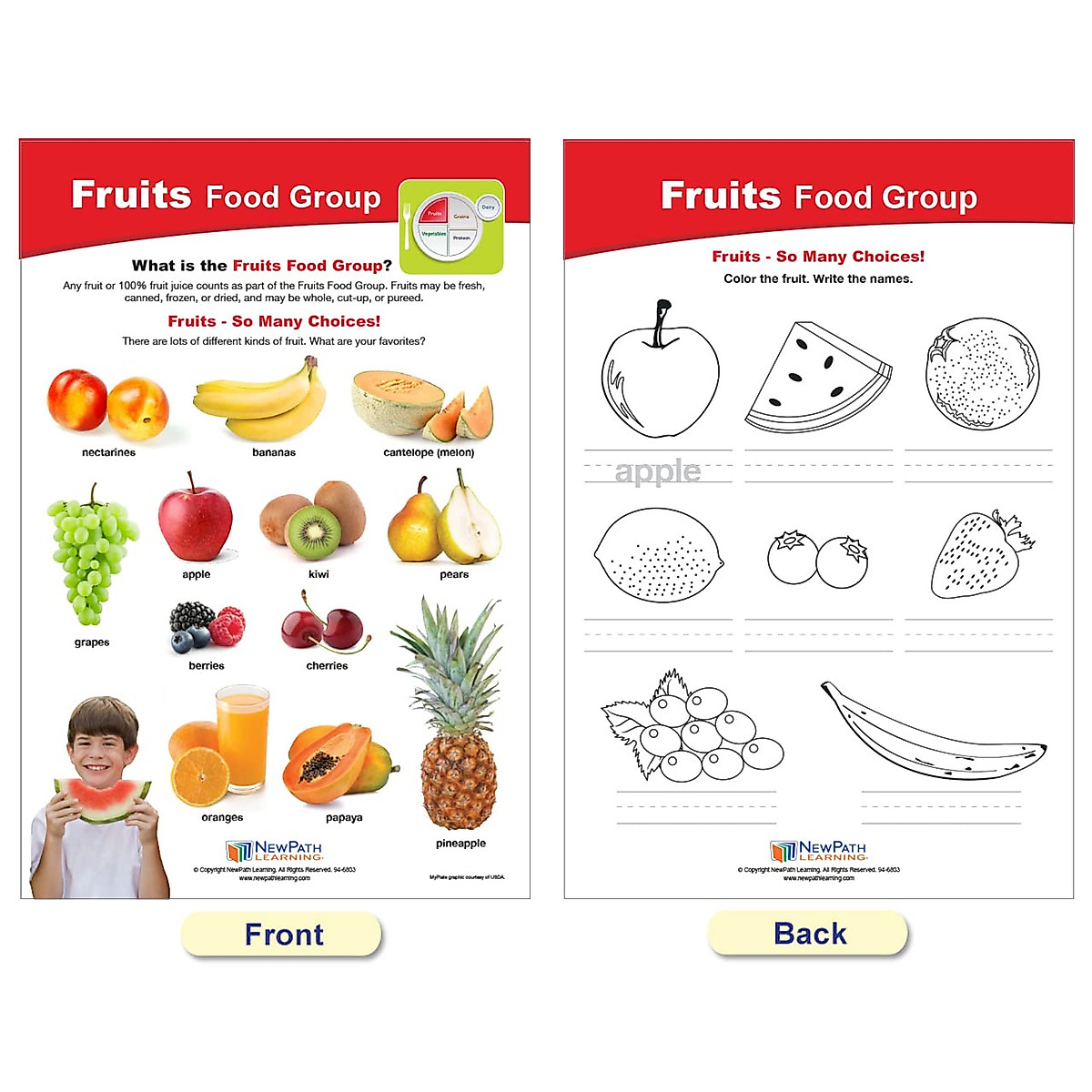 NewPath MyPlate - Food & Nutrition Bulletin Board Charts, Gr 1-4, Set/8 - Laminated, Double-Sided, Full-Color, 12" x 18" (94-1120)