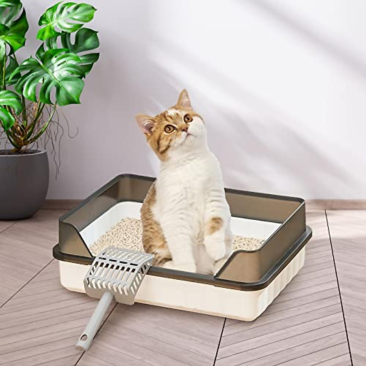 Baoblaze Pet Litter Tray Potty Toilet Litter Pan Detachable Frame Container Splashproof Cats Litter Box for Small Medium Cats, Rabbit, Bunny, Kitten, Gray Black