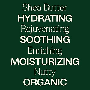 Plant Therapy Organic African Shea Butter Raw, Unrefined USDA Certified 16 oz Jar For Body, Face & Hair 100% Pure, Natural Moisturizer, Best for DIY Like Lotion, Cream, Lip Balm and Soap