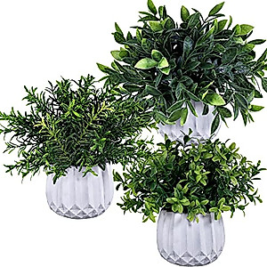 Winlyn 3 Pcs Faux Potted Plants Set - Artificial Eucalyptus, Rosemary, Boxwood Greenery in Small White Geometric Planters for Indoor Outdoor Desk Table Centerpiece Shelf Windowsill Home Office Decor
