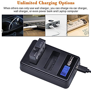 PowerTrust 2-Pack AZ16-1 Replacement Battery and LCD Dual USB Charger for XiaoYi 4K and YI Lite Sport Cameras