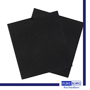 PUREBURG FLT5900 True HEPA Replacement Filter Set Compatible with GermGuardian AC5900WCA Air Purifier,Part Numbers FLT5900,Filter J, H13 Activated Carbon,1-Pack