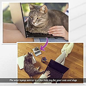 Jetec Mini Laptop Mirror for Cat Toy Laptop Cute Pocket Mirror Cat Laptop 3.7 x 2.5 Inch Folding Toy Cat Computer for Dollhouse Pet Makeup Decoration Fake Laptop(Silver)