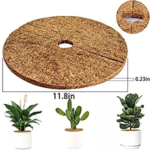 ZeeDix 3 Pcs Coconut Fibers Mulch Ring Tree Protector Mat,11.8 Inch 100% Natural Coco Coir Tree Protection,Tree Ring Mats Tree Disc Plant Cover for Indoor or Outdoor