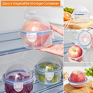 EMVANV 2 PCs Small Fruit & Vegetable Storage Containers With Lid, Onion & Tomato Lemon Apple Produce Saver Holder, Portable Savers, Transparent