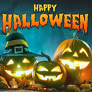 Toasted Tales If The Shoe Fits Halloween Glass Season Holiday Glassware | Spooky Glass Tumbler | Novelty Gifts For Her | Halloween Glass Witches Wine Glasses | Hocus Pocus Stemless Glass