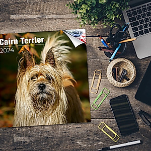 2023 2024 Cairn Terrier Calendar - Dog Breed Monthly Wall Calendar - 12 x 24 Open - Thick No-Bleed Paper - Giftable - Academic Teacher's Planner Calendar Organizing & Planning - Made in USA