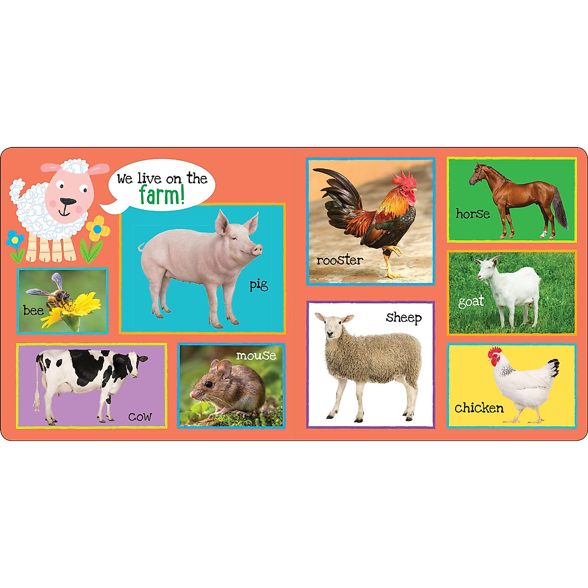 My First 101 ANIMALS Padded Board Book