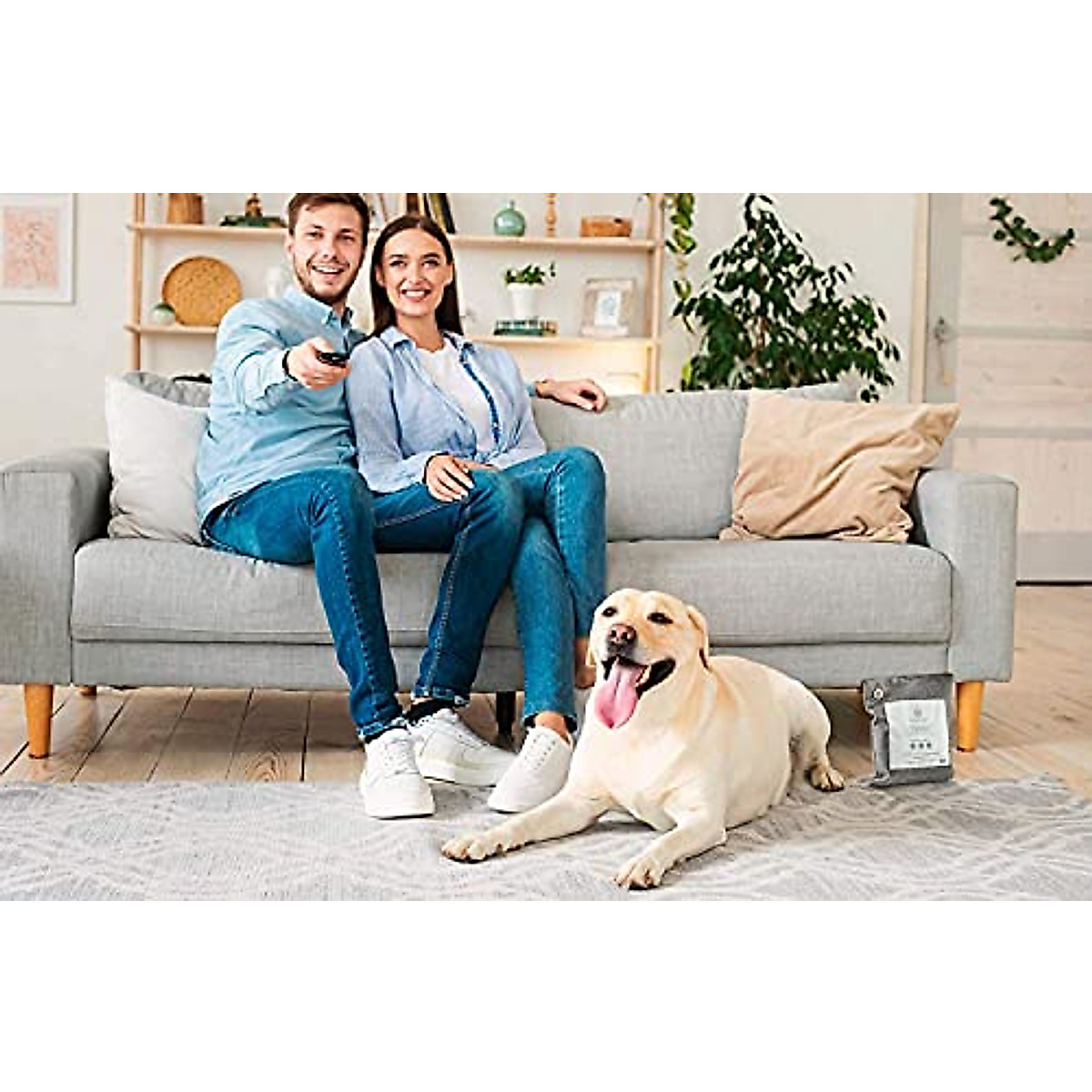 Adhara Sky 12 Pack Bamboo Charcoal Air Purifying Bag, Activated charcoal Bags Odor Absorber, Odor Eliminator for Home, Car, Office, Closet & House Deodorizer (6X200g,2X100g,4X50g,6 Hooks & Strings)