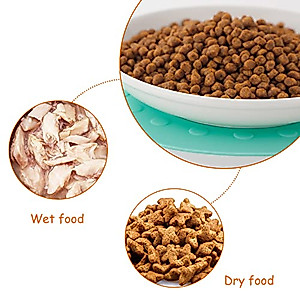 Dorakitten Ceramic Cat Food Plates: Cat Wet Food Bowls Cat Feeding Wide Bowls to Stress Relief of Whisker Fatigue Cat Dishes, Shallow Bowls for Kittens and Small Animals with Non-Slip Mat